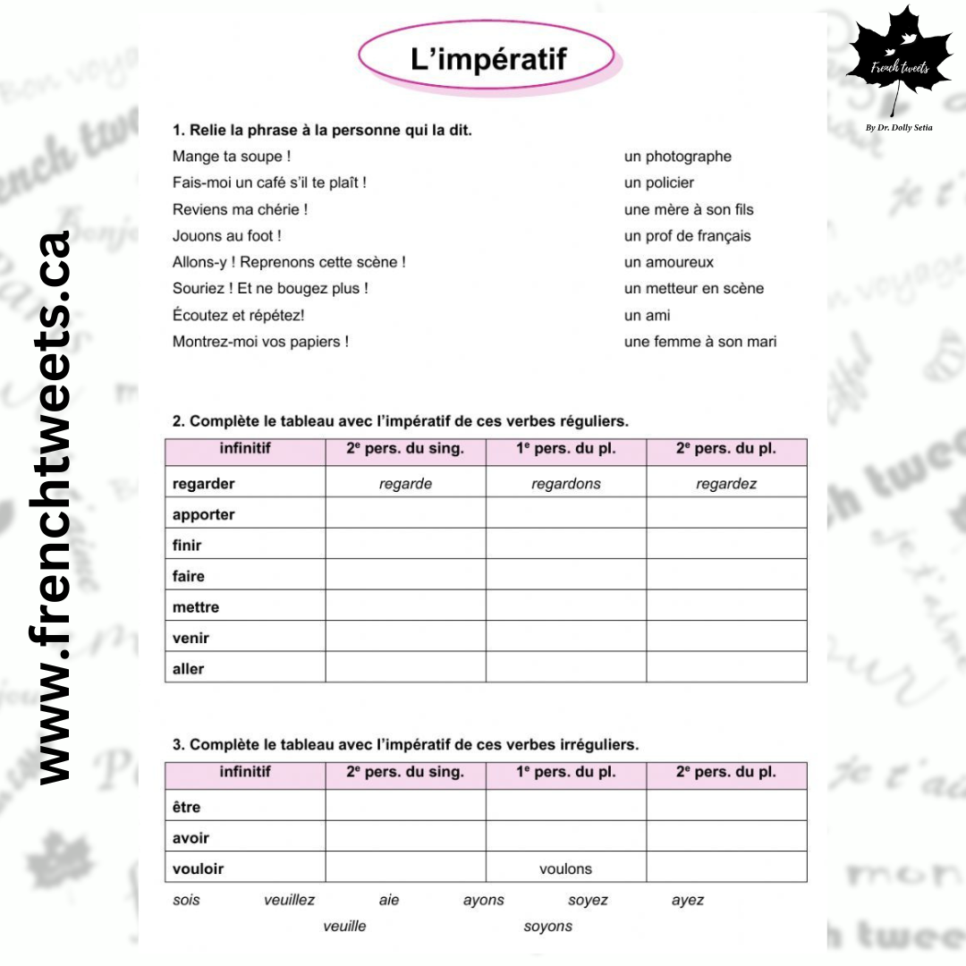 French Exercises for Beginners PDF - French Tweets