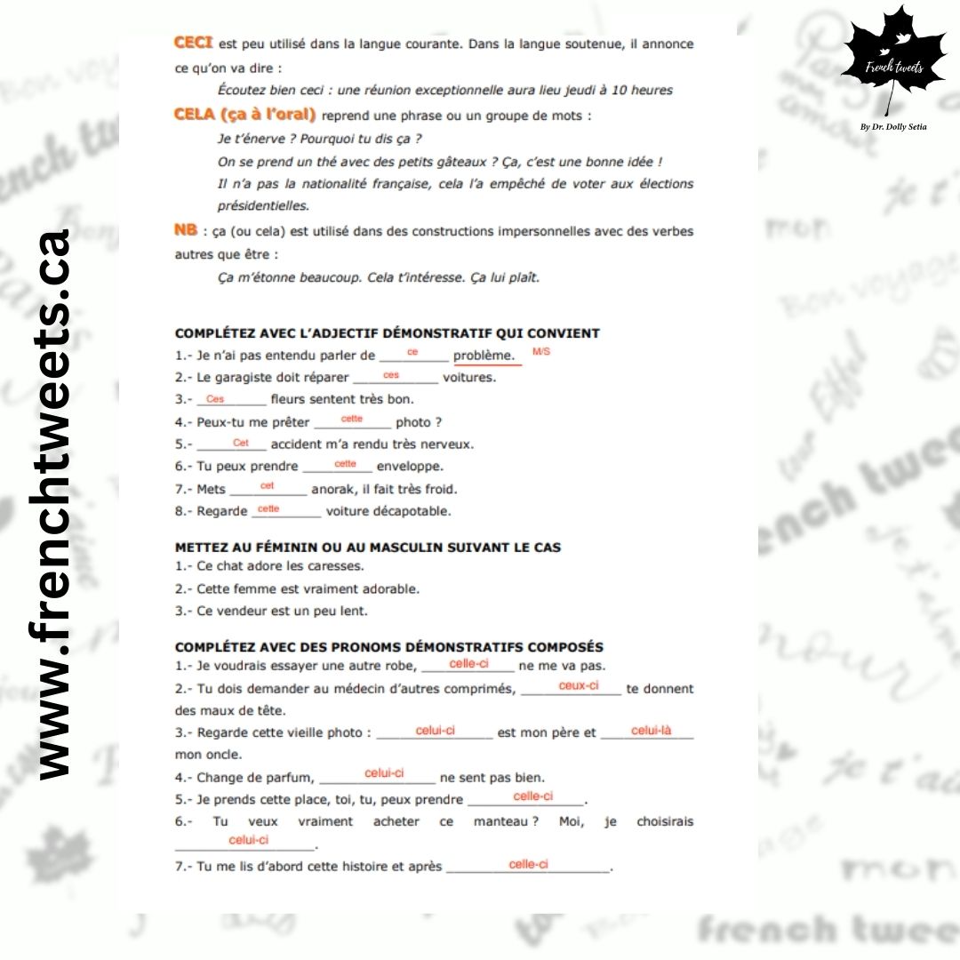 French Exercises Intermediate level with French tweets